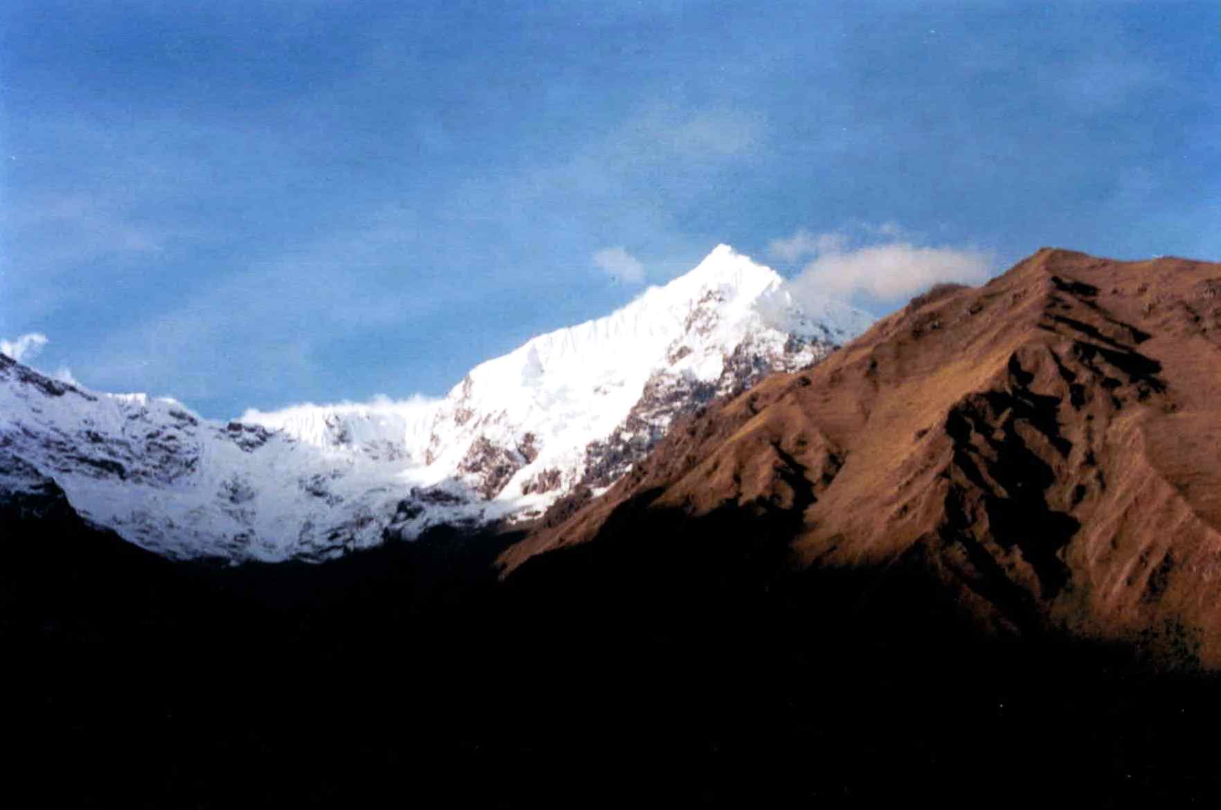 Apus as Sources of Power | Q'enti Wasi – House of the Hummingbird